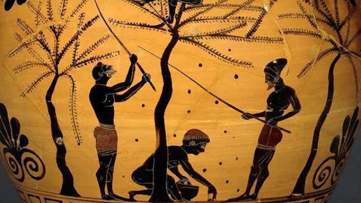 Του έδιναν να καταλάβει οι Αρχαίοι Έλληνες: Αυτές ήταν οι αλλόκοτες ...
