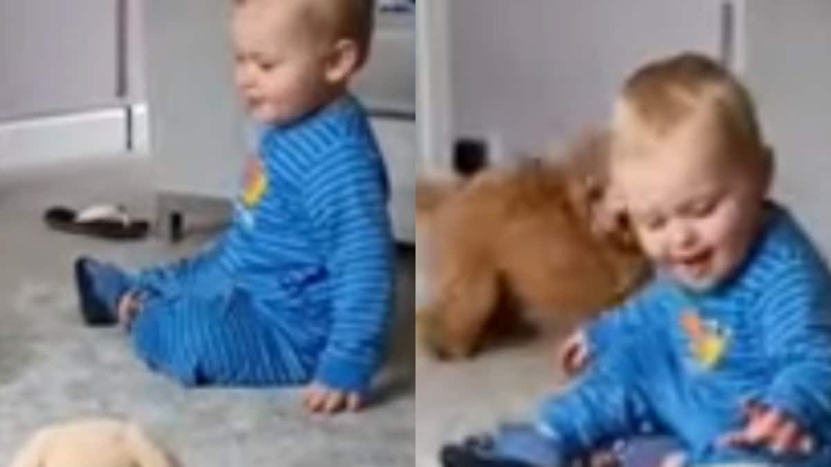 Μωρό παίζει με τον σκύλο του στο σαλόνι, όταν ξαφνικά κάτι θα "πάγωσει ...