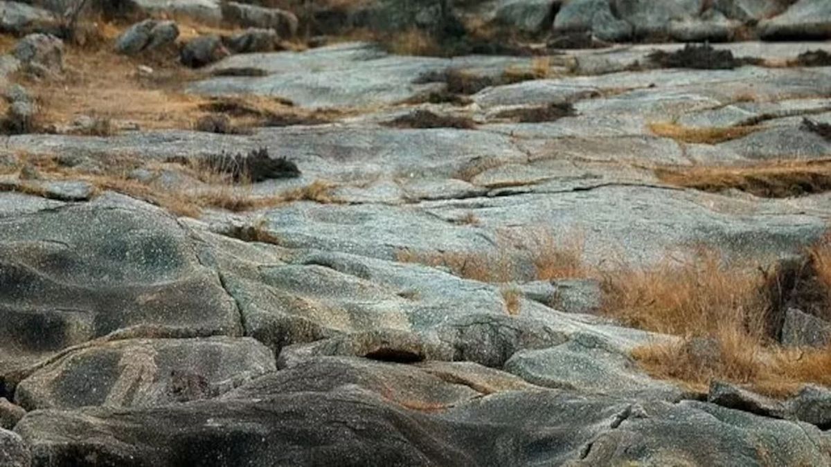 Έχετε μάτια αετού αν λύσετε αυτό τον γρίφο: Μπορείτε να εντοπίσετε την ...