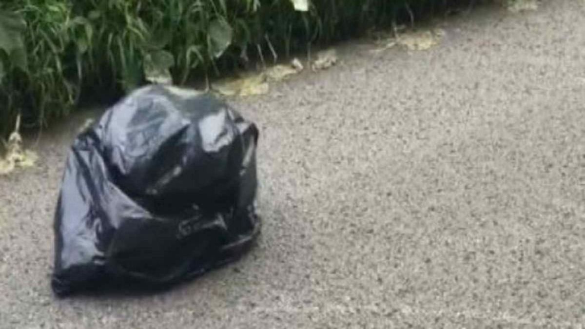 Ήταν στο δρόμο και είδε μια μαύρη σακούλα - Αυτό που αντίκρισε όταν την ...