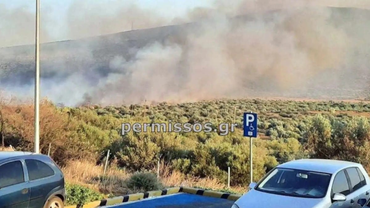 Φωτιά στον Πρόδρομο Βοιωτίας - Μήνυμα 112 στους κατοίκους της περιοχής ...