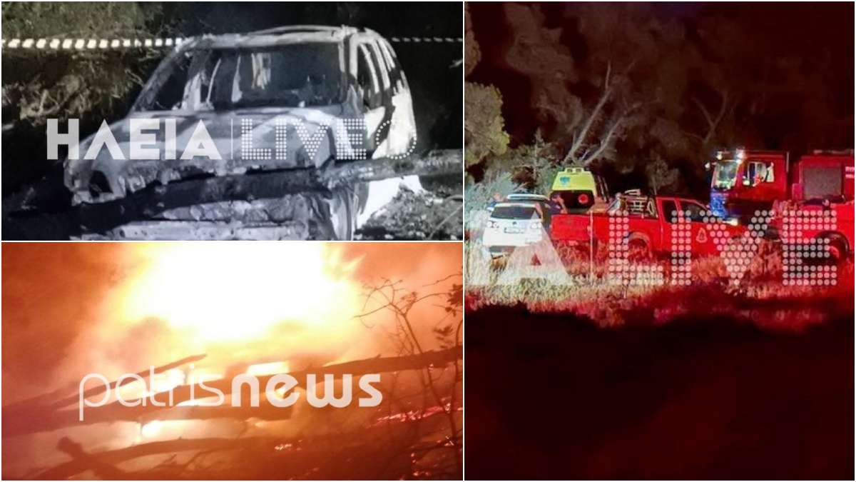 Θρίλερ στα Λεχαινά με απανθρακωμένο πτώμα μέσα σε δάσος: 46χρονος ...