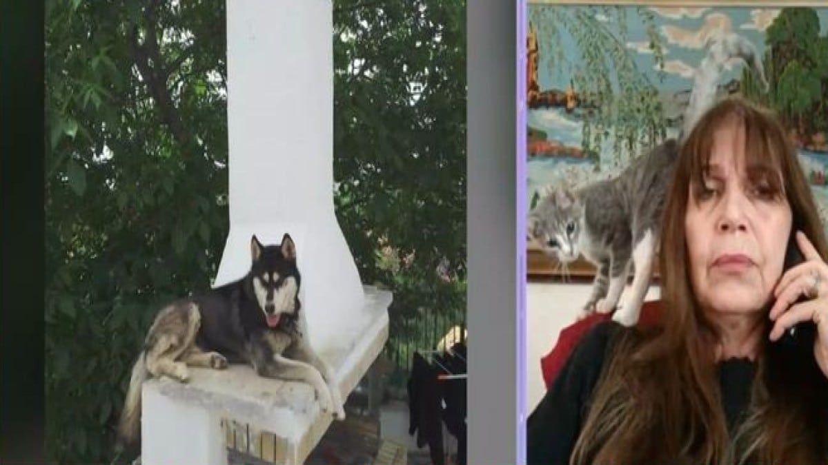 Αράχωβα - Έξαλλη η Πουλτίδου για τον Όλιβερ: «Έφερε σοβαρό τραύμα στην ...