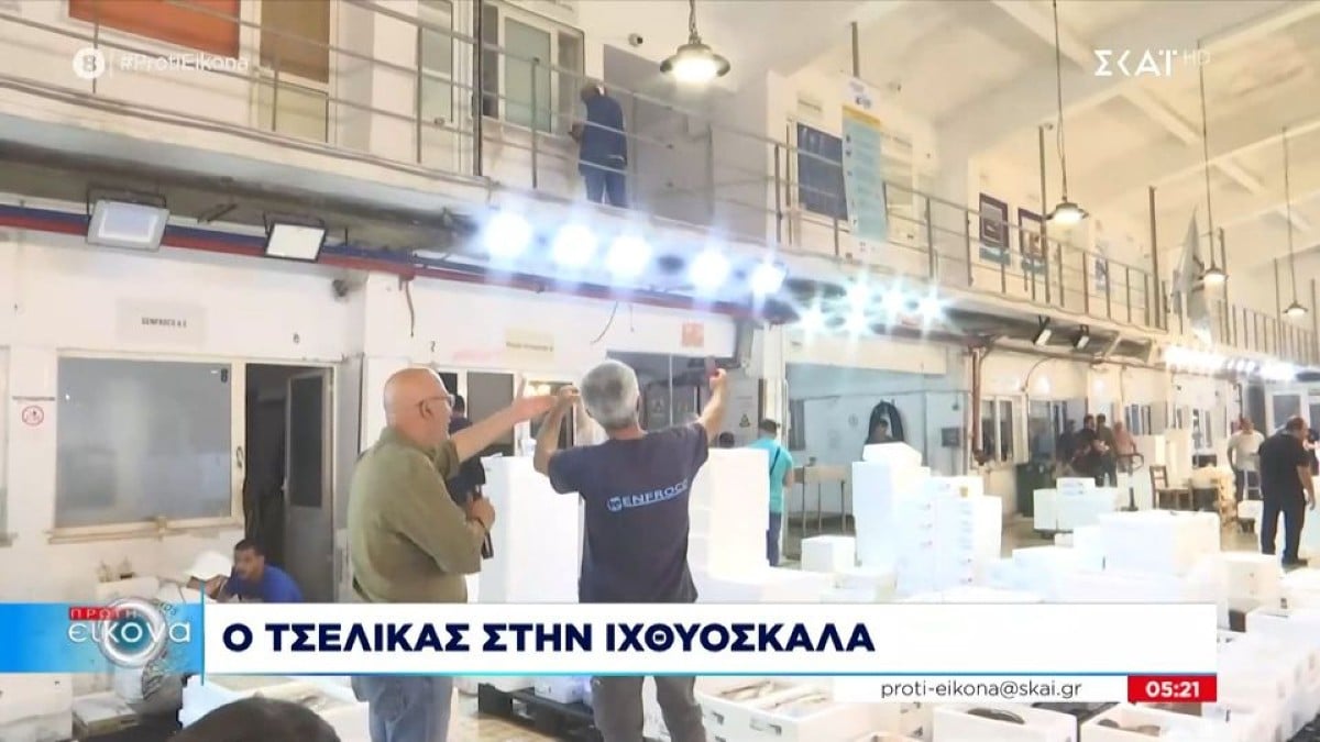 Έμεινε άφωνος ο Τσελίκας στην Ιχθυόσκαλα: «Τι κάνεις εκεί; Βγάζεις ...