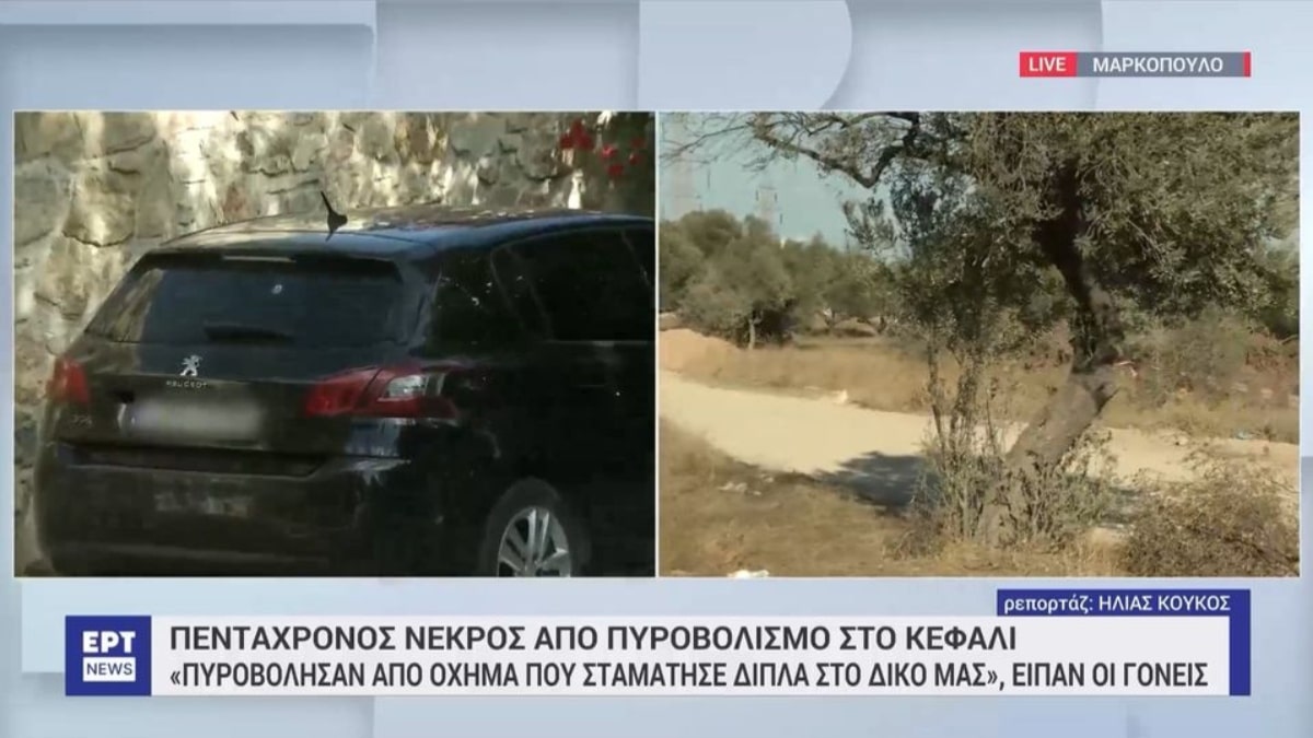 «Έχουν θέματα δικά τους, δεν φταίει το παιδάκι» λέει ο πρόεδρος των ...