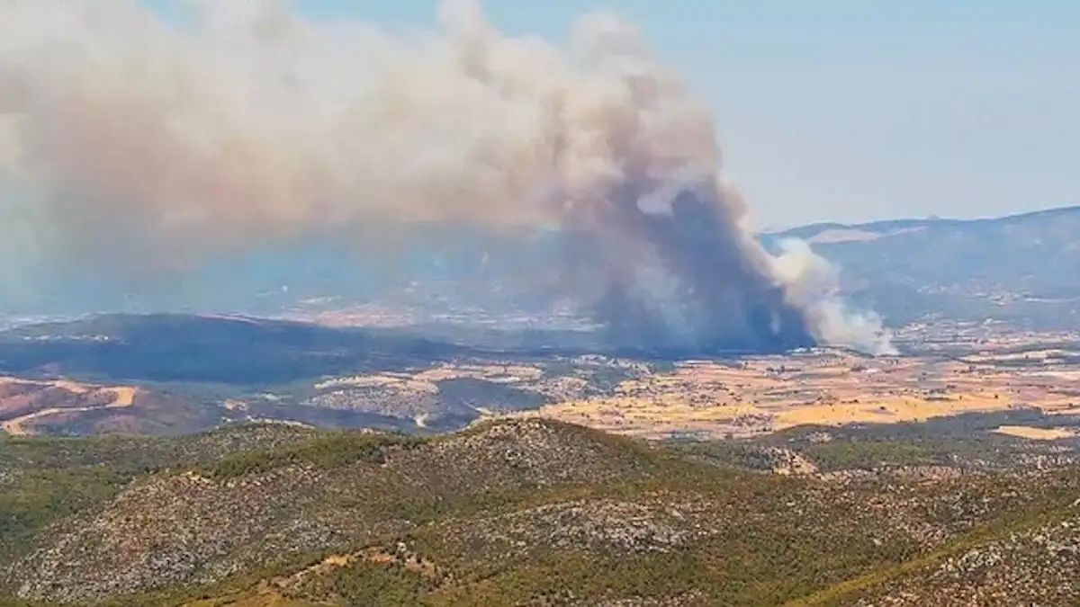 Στις φλόγες δασική περιοχή στην Εύβοια - Μάχη με τον δυνατό άνεμο ...