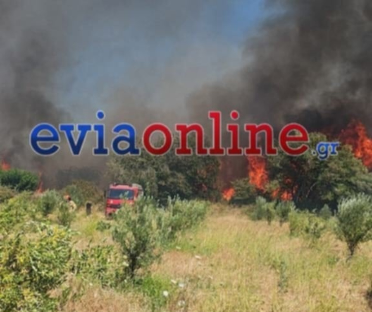 Συναγερμός για φωτιά στο Φίλυρο: Άμεση επέμβαση της Πυροσβεστικής ...