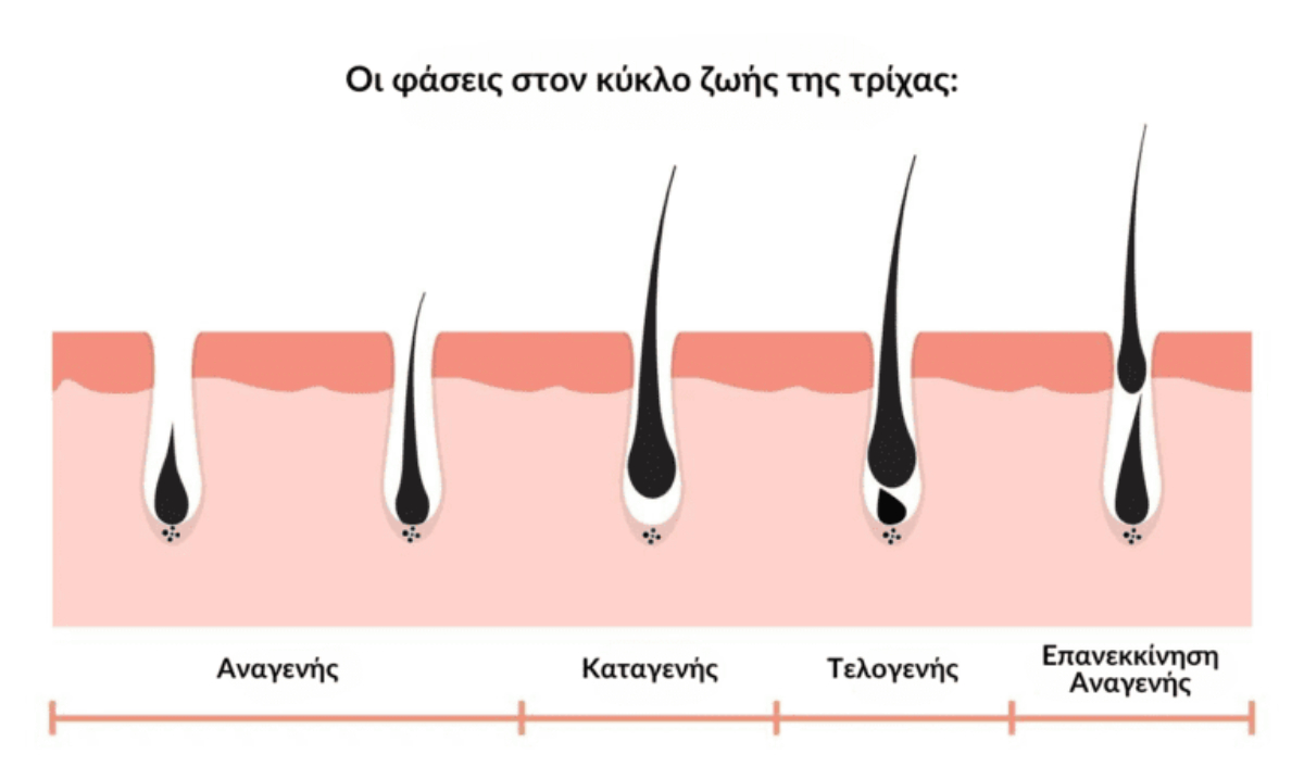 Τριχόπτωση: Αίτια, συμπτώματα και τρόποι αντιμετώπισης | Athens Magazine