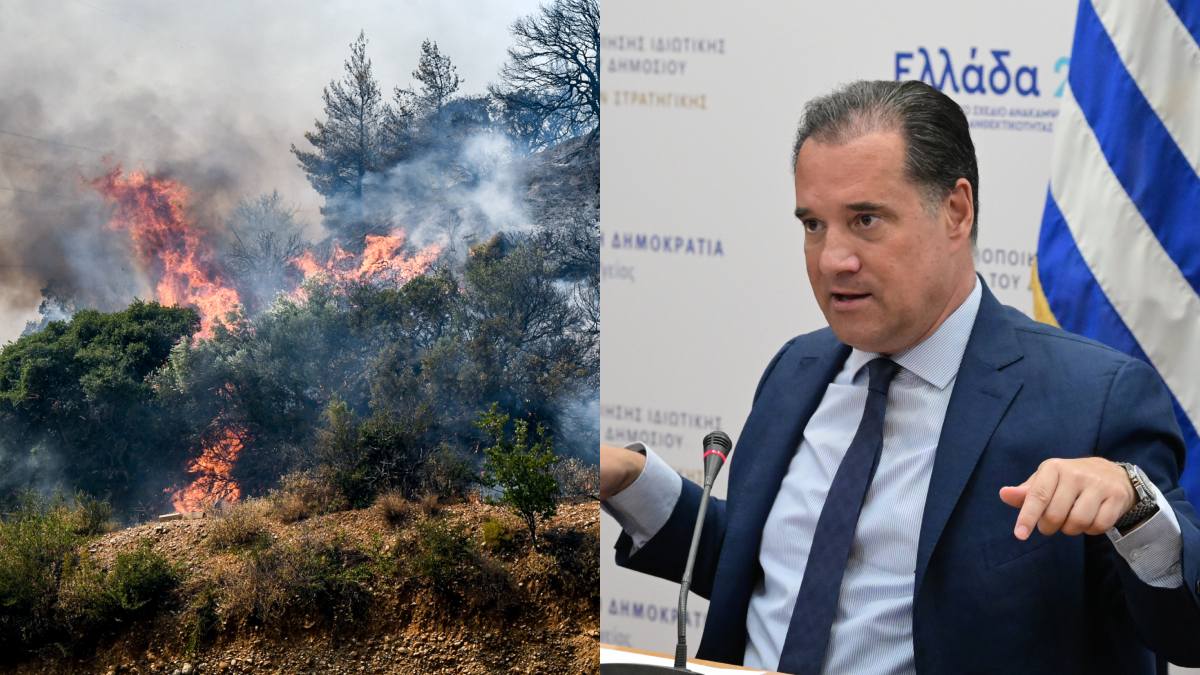 Γεωργιάδης για τον 19χρονο εμπρηστή στην Πάτρα: Η παραδειγματική ...