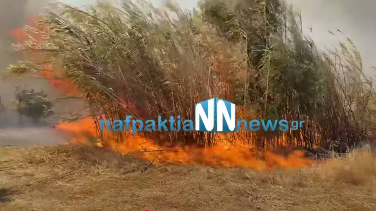 Συναγερμός στην Πυροσβεστική: Φωτιά σε Γαλατά και Βόνιτσα ...