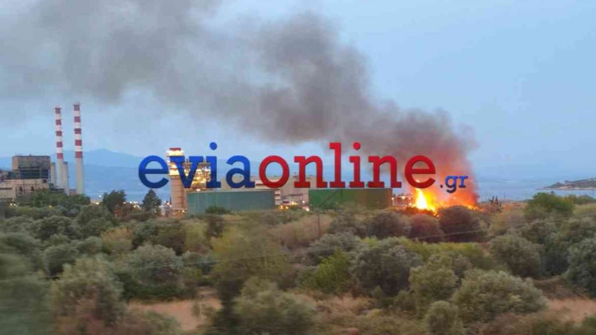 Συναγερμός στην Εύβοια: Φωτιά κοντά στο εργοστάσιο της ΔΕΗ | Athens ...