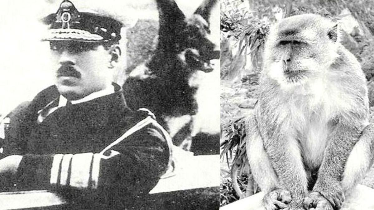 Σαν σήμερα, 17 Σεπτεμβρίου 1920: Μαϊμού δαγκώνει τον Βασιλιά των ...
