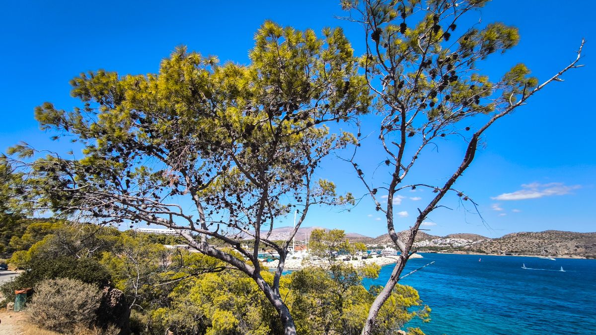 Καιρός σήμερα 23/9: Ήπιο καλοκαιράκι... πριν από την πρώτη δυνατή ...
