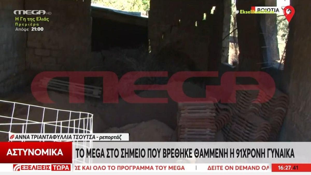 Η ομολογία της 62χρονης στη Βοιωτία: «Απέκρυψα από τις Αρχές τον θάνατο ...