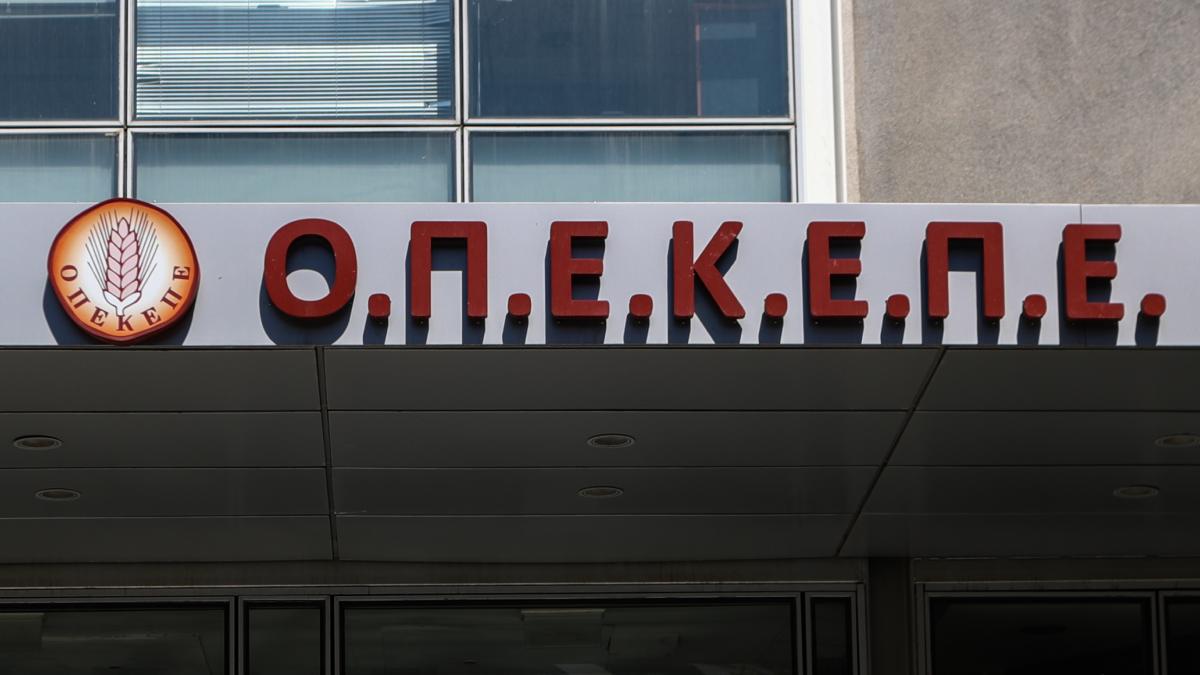 8 προφυλακίσεις για τον ΟΠΕΚΕΠΕ: Συνεχίζονται οι απολογίες των ...