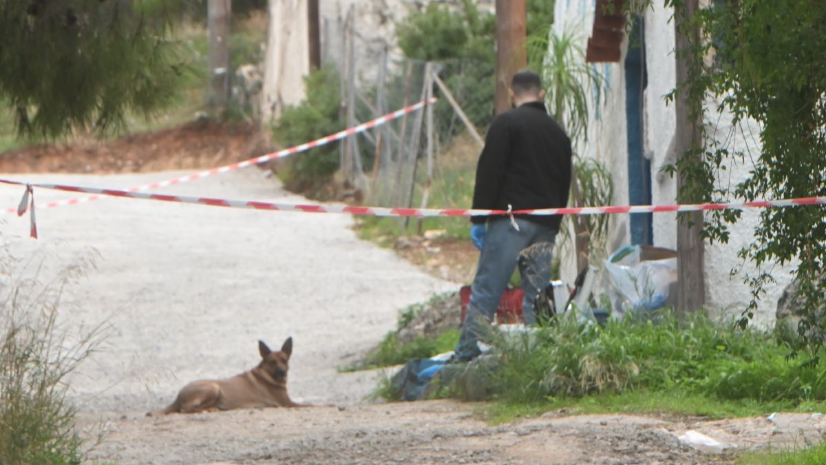 Σαλαμίνα: Πώς η νύφη σκότωσε την 75χρονη πεθερά της - Ήταν εθισμένη με ...