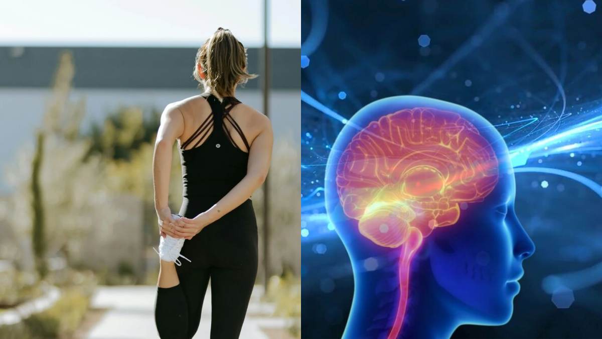 Η επιστήμη μίλησε: Η άσκηση αυξάνει τις δυνατότητες του εγκεφάλου ...